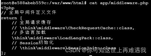 Thinkphp5~6多语言文件包含到rce漏洞复现and详细分析解析_php5.6漏洞-CSDN博客