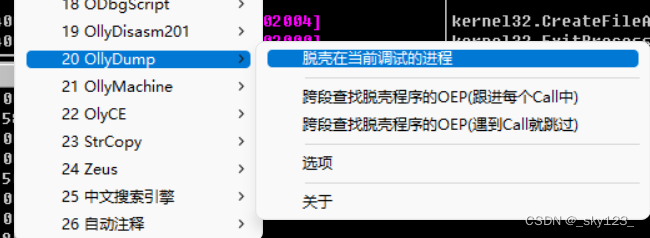 2022CTF培训（一）脱壳技术&Hook入门_ctf脱壳-CSDN博客