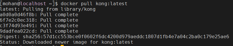 docker中kong的安装_docker 安装kong-CSDN博客