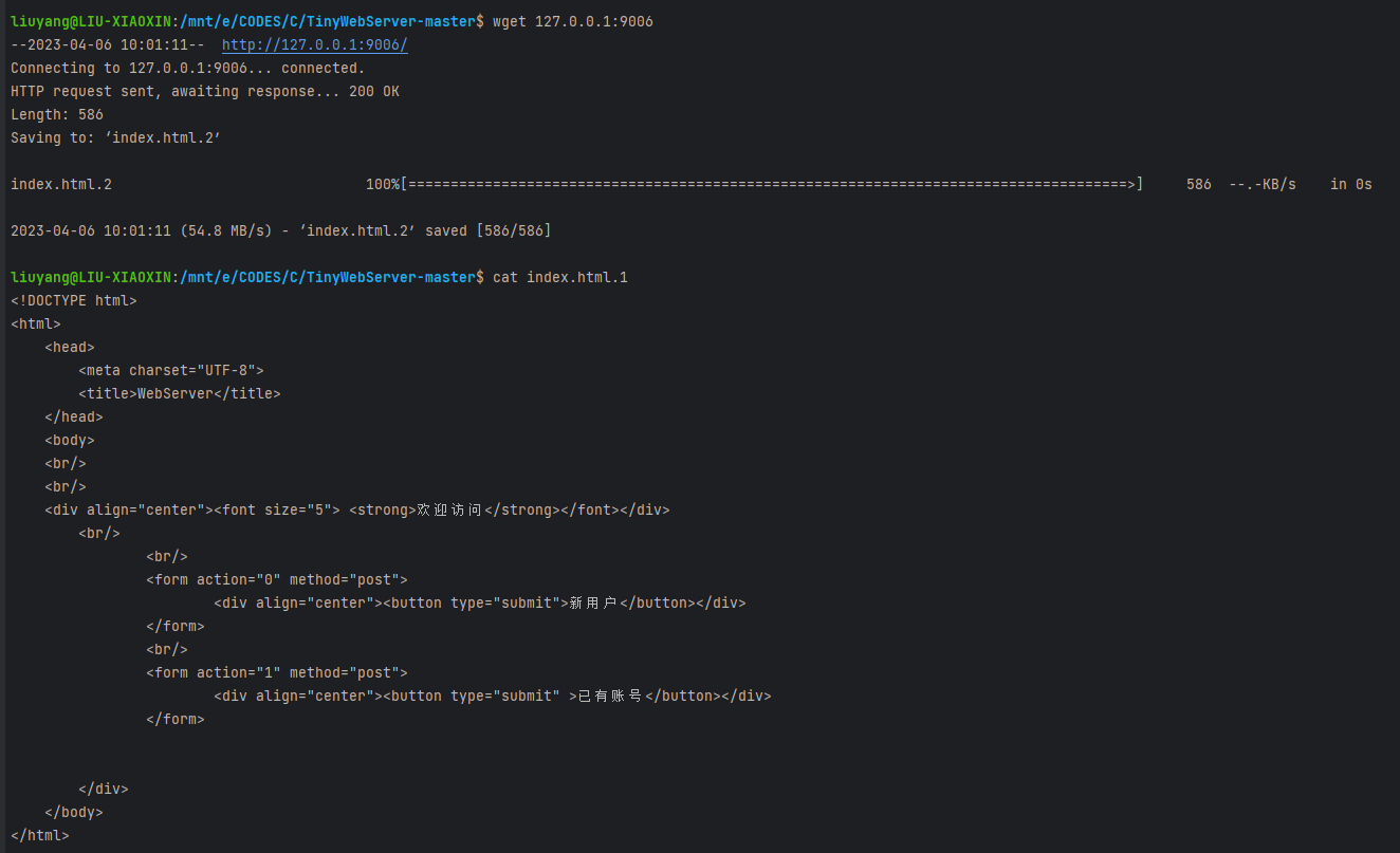 Tinywebserver的环境配置tinywebserver项目 Csdn博客 
