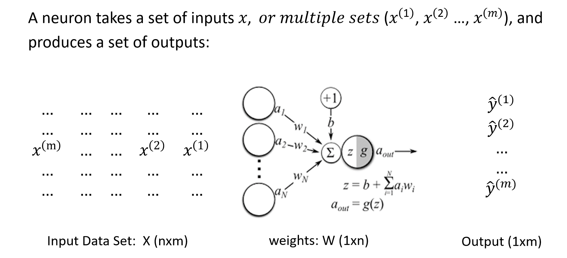神经网络（一）_神经网络csdn-CSDN博客