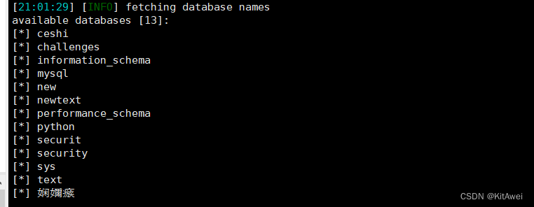 Sqlmap使用方法，sqli Labs靶场sqlmap靶场网站 Csdn博客