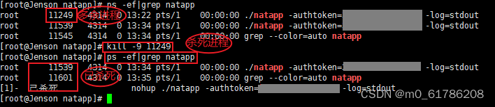 Linux/Centos7使用NATAPP内网穿透_centos7安装natapp-CSDN博客