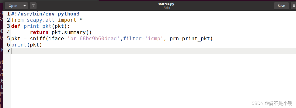 Lab1 Packet Sniffing and Spoofing Lab-CSDN博客