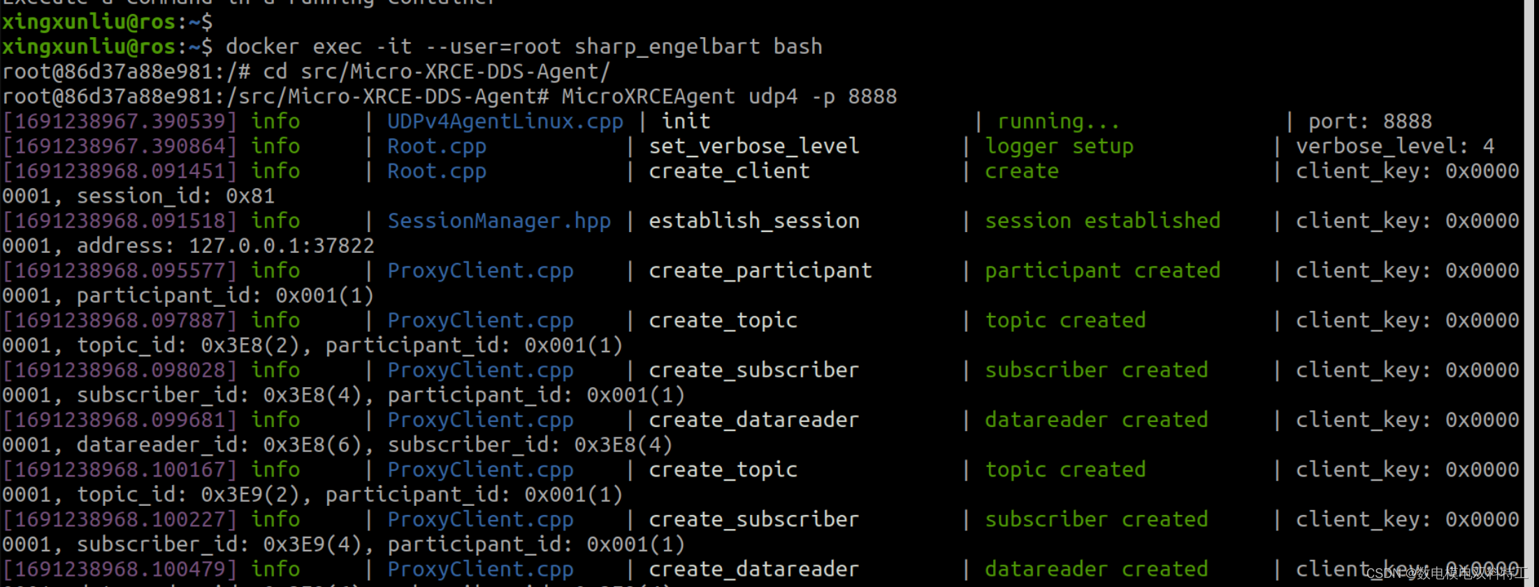Docker 镜像使用指南_下载了一个docker镜像如何使用-CSDN博客