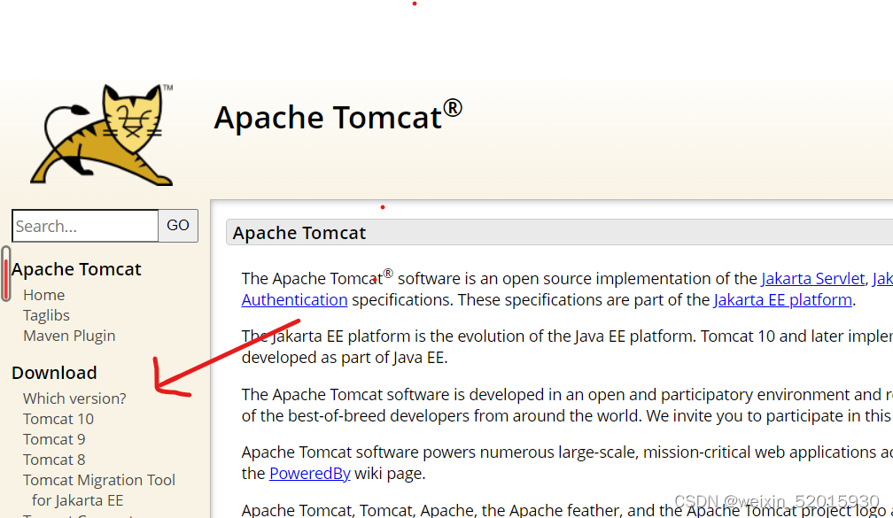 TOMCAT下载及环境配置并启动_tomcat启动环境-CSDN博客