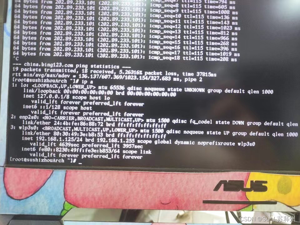 【Archlinux】(2) —— 网络配置_archlinux网络配置-CSDN博客