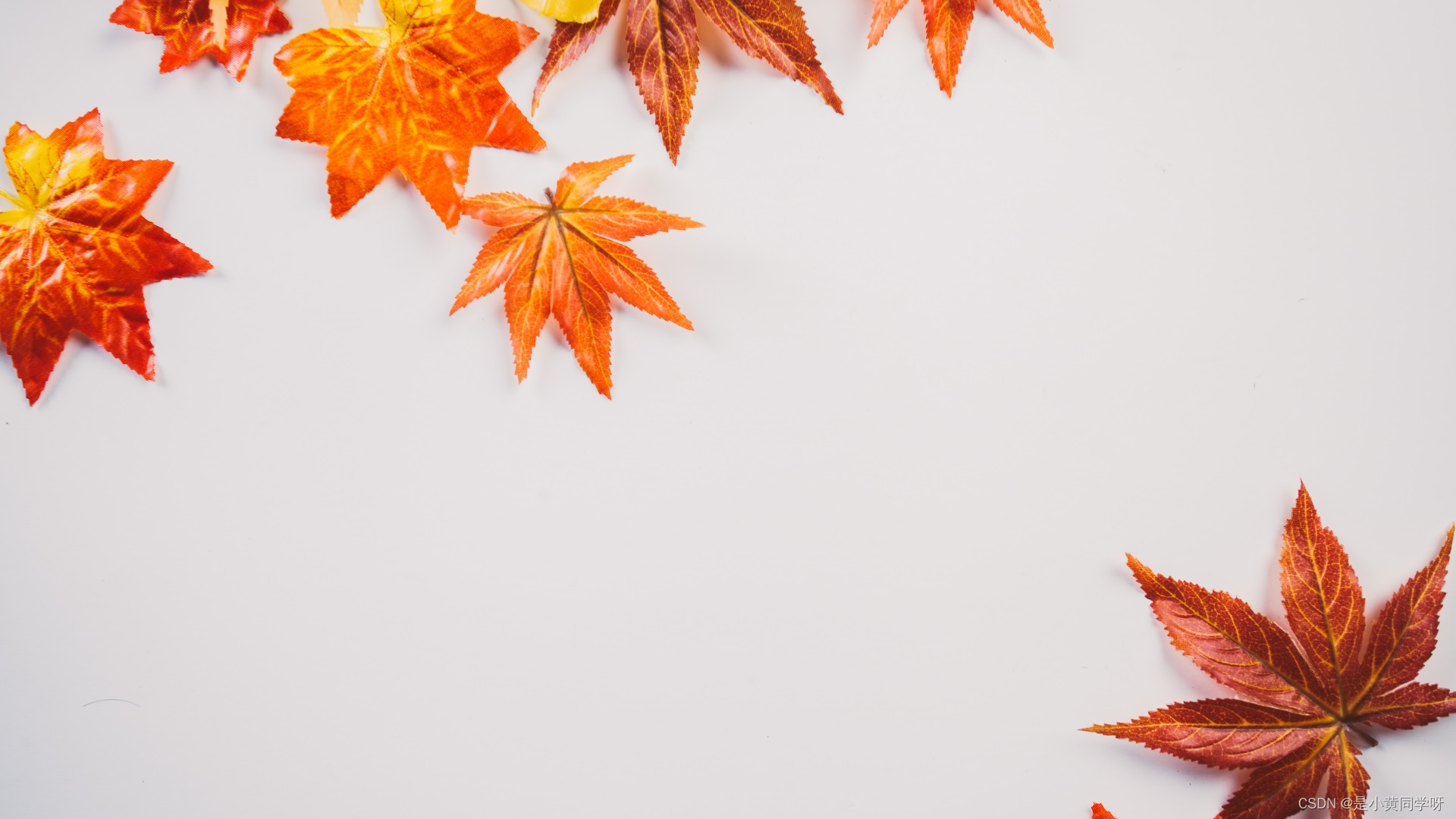 QML 开机动画-CSDN博客