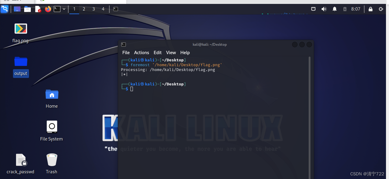 polarctfD&N cat flag_polarctf cat flag-CSDN博客