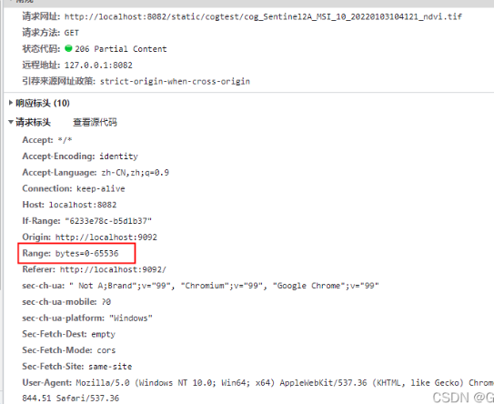 云优化cog_gdal cog-CSDN博客