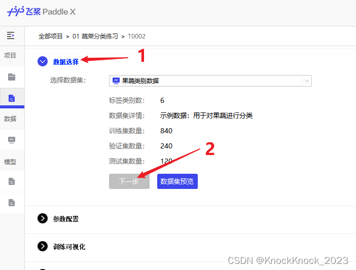 PaddleX入门教程1：利用PaddleX图形化工具进行训练_paddlex1.0模型转换-CSDN博客