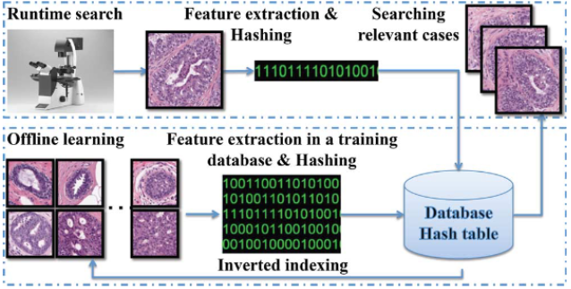 Kimia Path 24数据集论文Classification and Retrieval of Digital Pathology ...