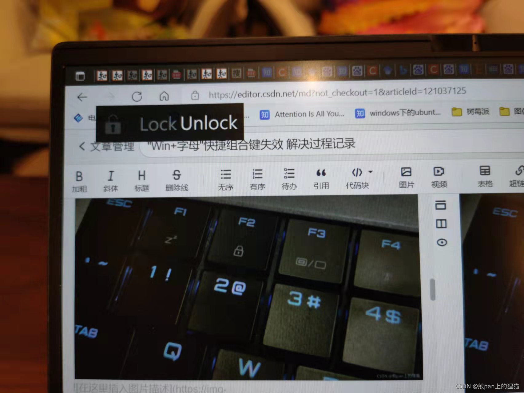 【杂项】笔记本键盘 Win字母 快捷组合键失效 解决过程记录注册表没有nowinkeys Csdn博客