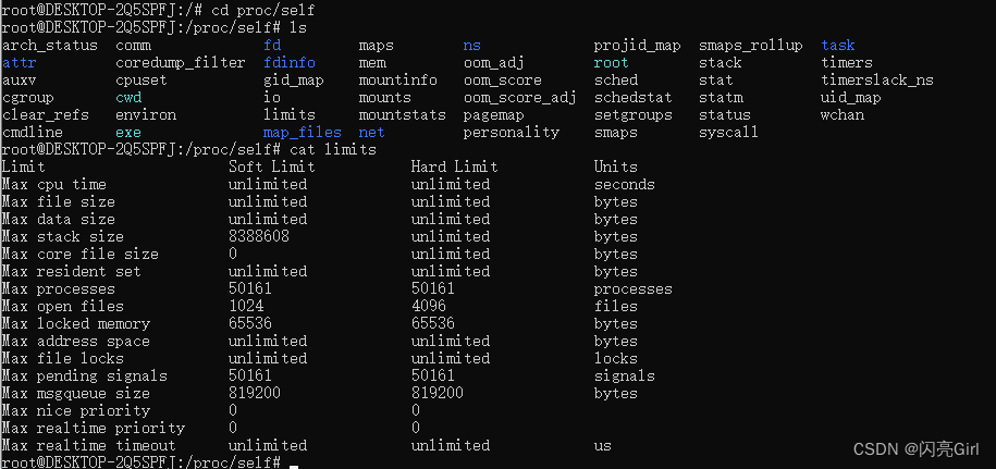 认识---系统资源resource_linux struct resource资源管理-CSDN博客