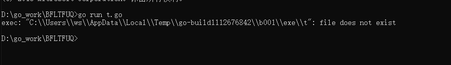 go语言错误：exec: “\\go-build\\b001\\exe\\t“: file does not_golang 用exec启动exe文件没有拿到数据的原因-CSDN博客