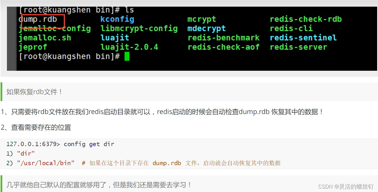 Redis持久化 Csdn博客
