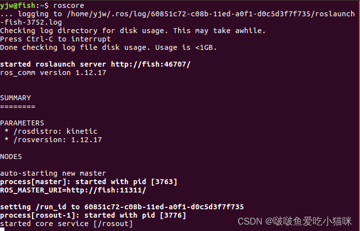 python版本不对导致roscore出现问题_roscore使用的python环境-CSDN博客