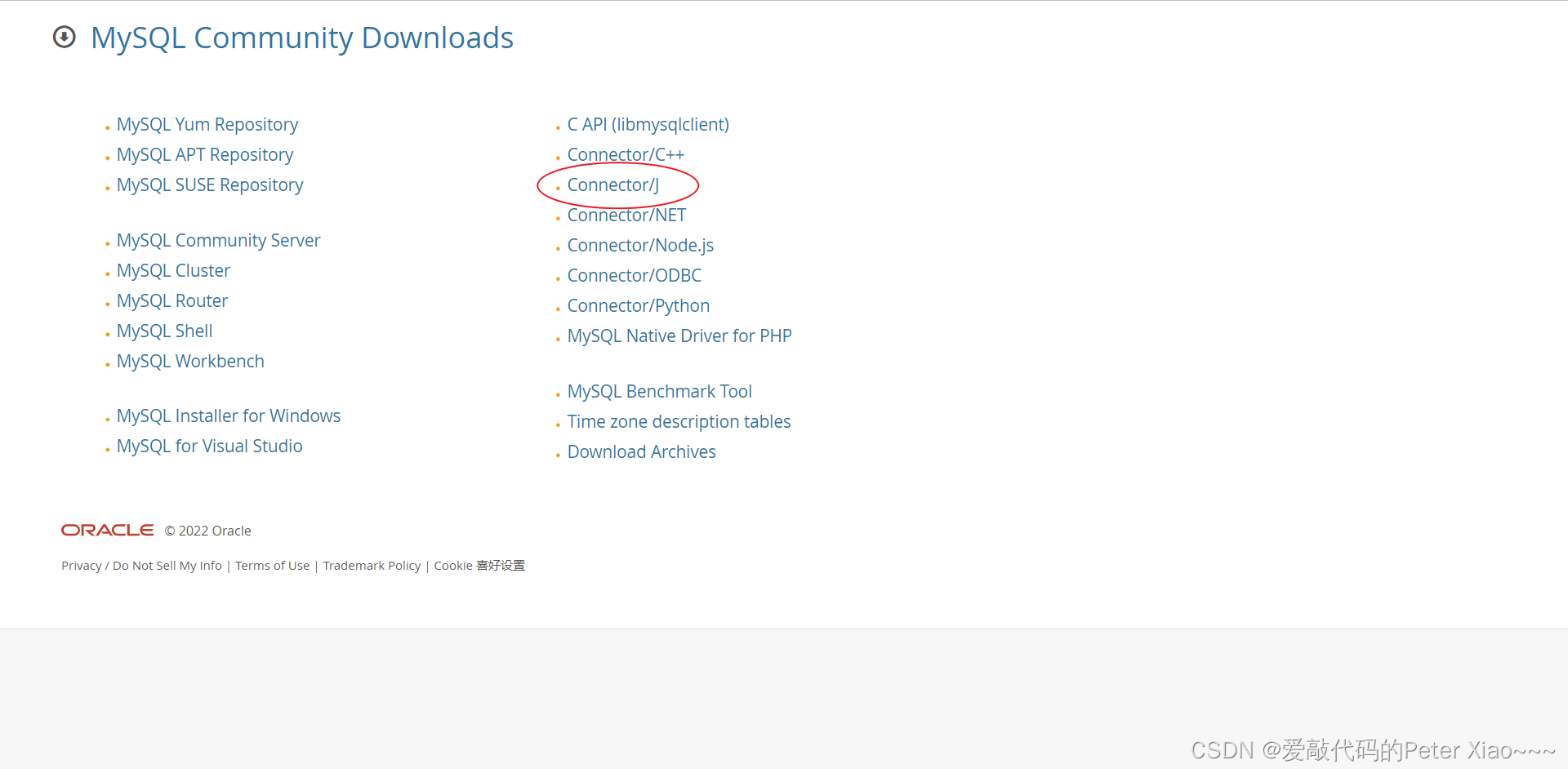 Java EE系列（九）——Java EE连接Mysql数据库（JDBC保姆级教学）_javaee怎么连接mysql数据库-CSDN博客