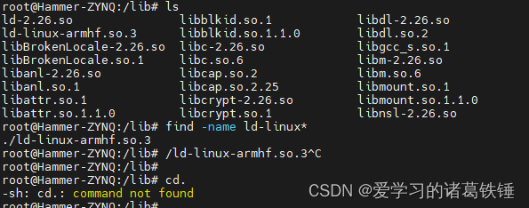 Arm开发板上使用ldd命令_arm ldd-CSDN博客
