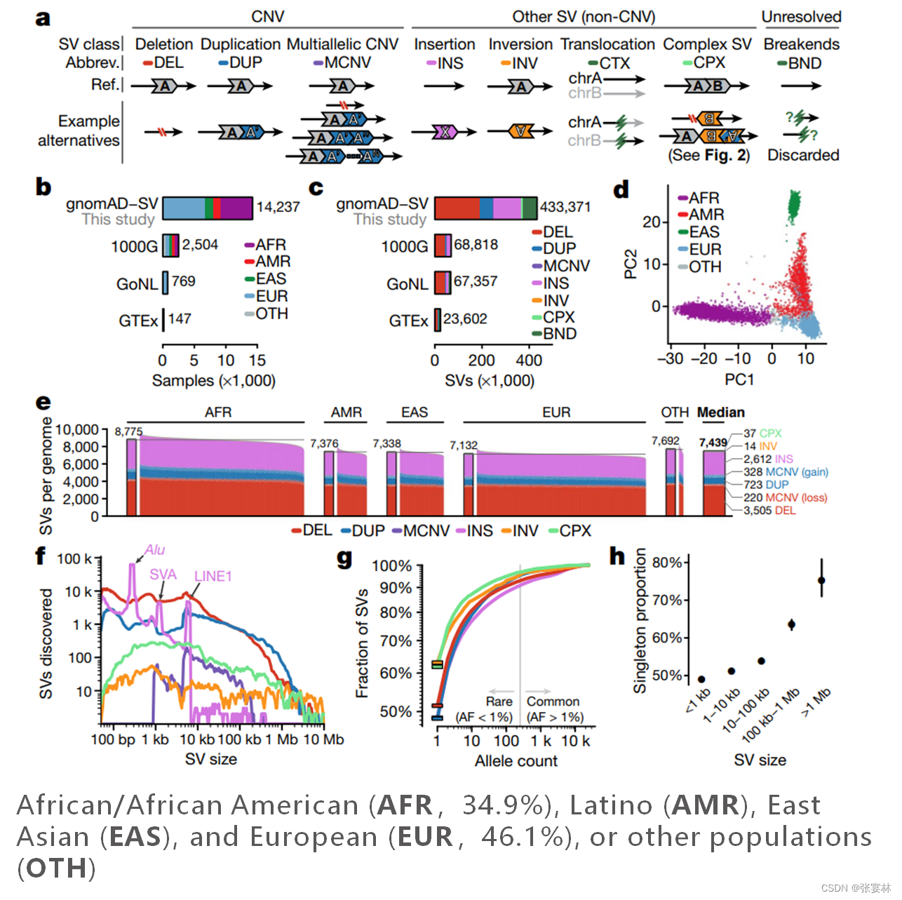 人基因组重测序系列 - 1.人基因组简介_human mutation-CSDN博客