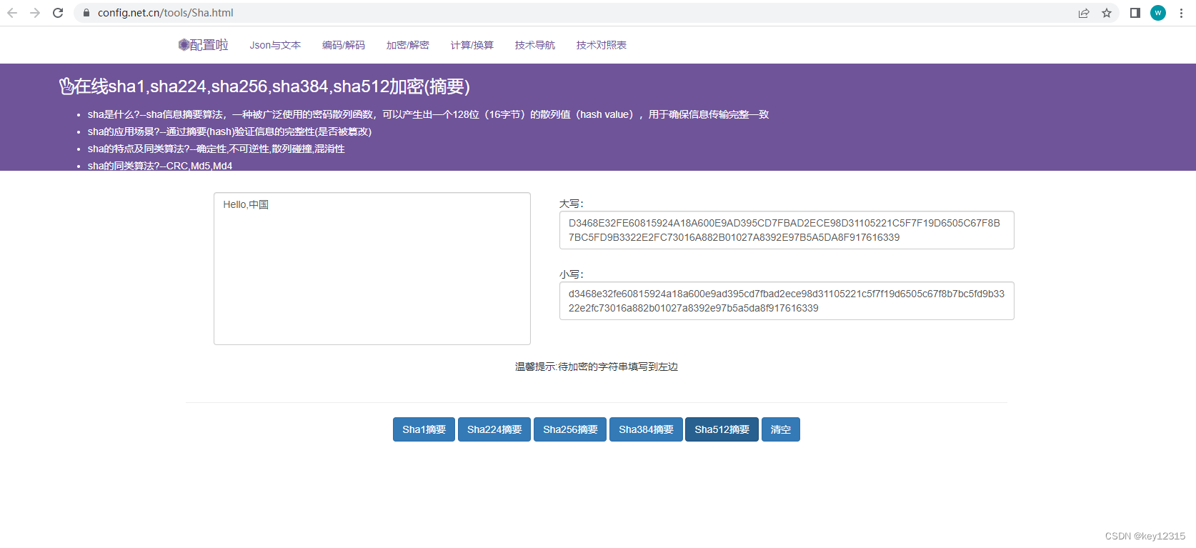 在线sha1,sha224,sha256,sha384,sha512加密(摘要)_sh256在线加密-CSDN博客