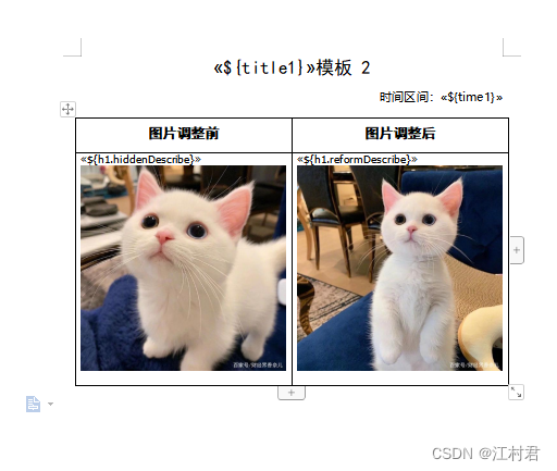 Java 使用 XDocReport 导出 word 包含图片表格的处理_java导出word表格中多个图片-CSDN博客