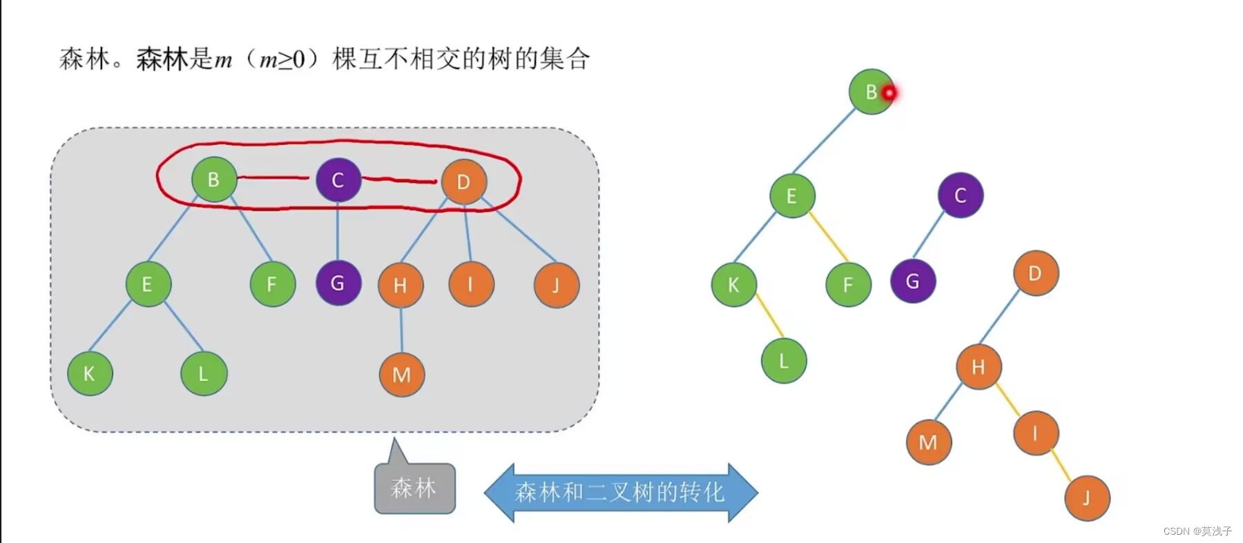 数据结构篇 树与森林森林中的兄弟关系 Csdn博客 