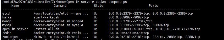 Docker-compose项目实践，一键部署开源项目Open-IM-Server，源码和docker部署对比版本_docker-compose部署open-im-CSDN博客
