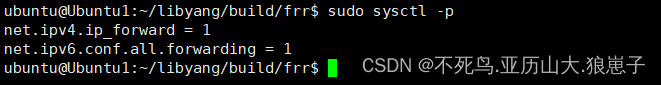 FRR（1）：Ubuntu环境上在LXC内安装FRR_linux frr-CSDN博客
