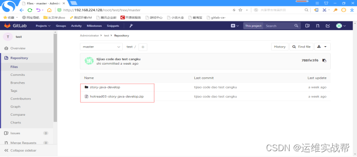 gitlab机器环境搭建私有仓库和客户端提交代码到gitlab和从gitlab下载代码（cent6.5+gitlab10.1.4）_gitlab 下载代码-CSDN博客