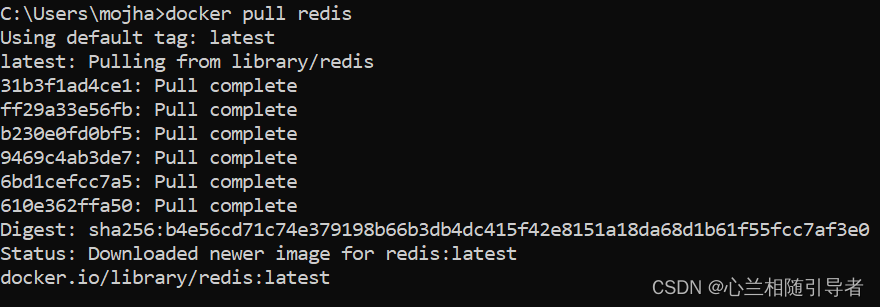 【零基础入门Docker】Docker的常用命令举例详解-CSDN博客