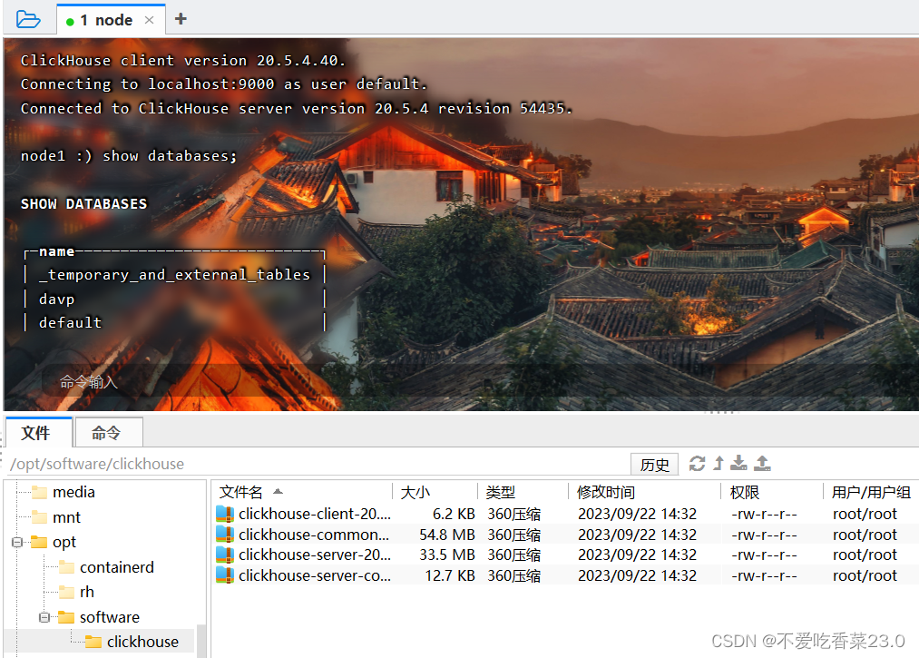 Linux（Centos7）下安装部署clickhouse（详细版）_centos7安装clickhouse-CSDN博客
