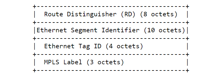 EVPN 路由之Type1 per ESI_ethernet segment identifier-CSDN博客