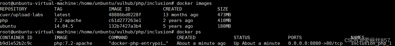 vulhub PHP文件包含漏洞(利用phpinfo)复现-CSDN博客