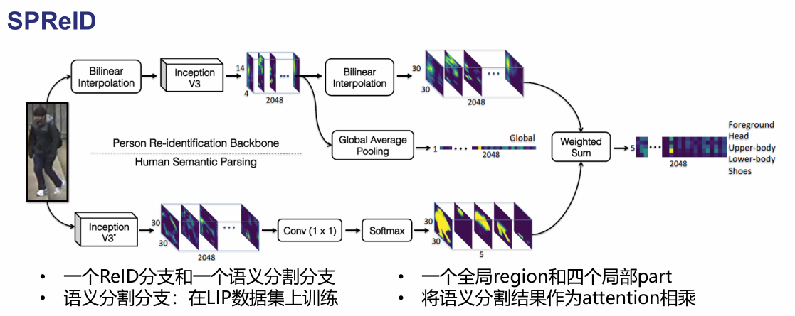 【ReID】局部特征_局部特征提取-CSDN博客