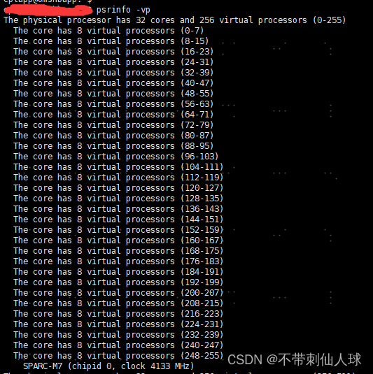 sunos查看核数_sunos 5.1 看cpu的逻辑核心数-CSDN博客