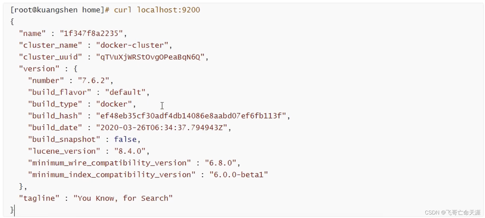 Docker08:命令作业Docker安装 Nginx 、Tomcat、部署es + kibana-CSDN博客