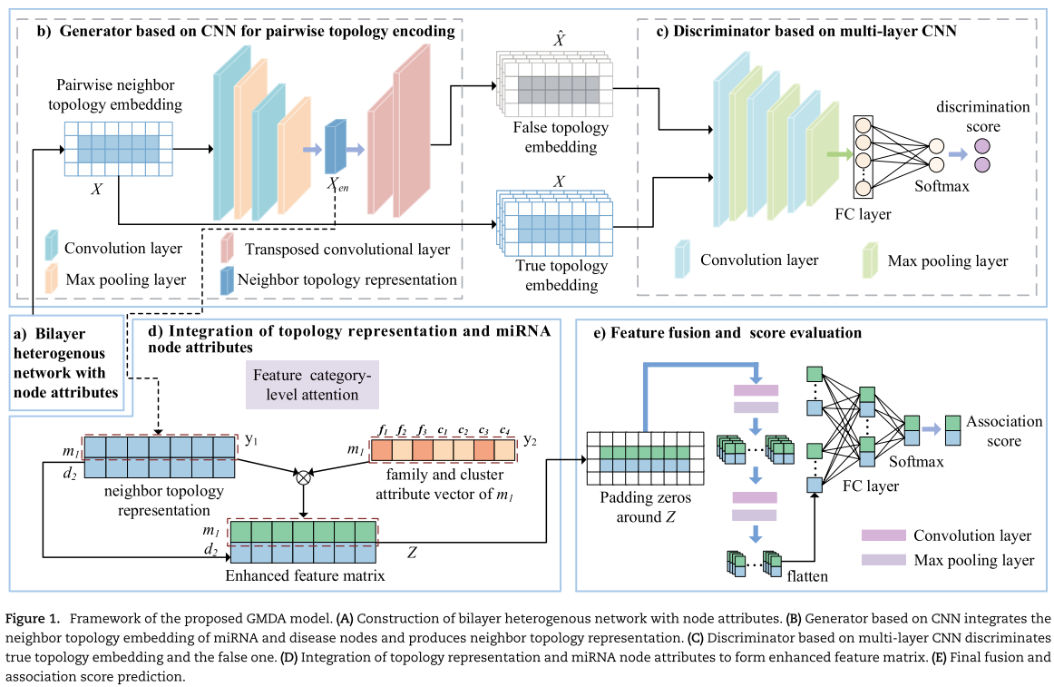 GMDA：结合成对邻域拓扑和 miRNA 家族和聚类属性进行miRNA-疾病关联预测（Briefings in Bioinformatics）_mirna家族分析-CSDN博客