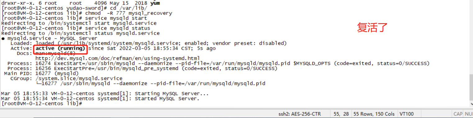 MySQL启动失败Job for mysqld.service failed because the control process exited with error code.-CSDN博客