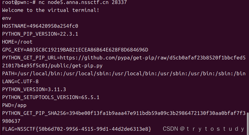 {NSSCTF} [LitCTF 2023]只需要nc一下~ 详解-CSDN博客