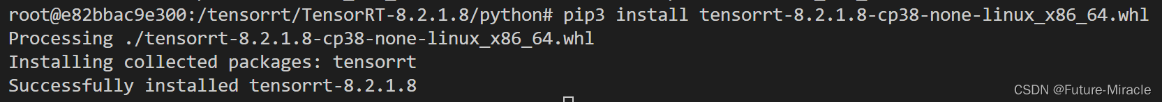 TensorRT8.2.1.8基于Docker容器快速安装_docker安装tensorrt-CSDN博客