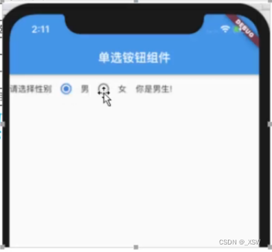 Flutter中Radio、RadioListTile、Image、Slider_flutter radio-CSDN博客
