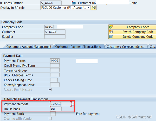 matinal：SAP 银行账户管理_house bank-CSDN博客