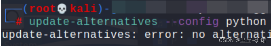 报错分析~kali切换python版本_update-alternatives: 错误: 无法识别的参数 –config-CSDN博客
