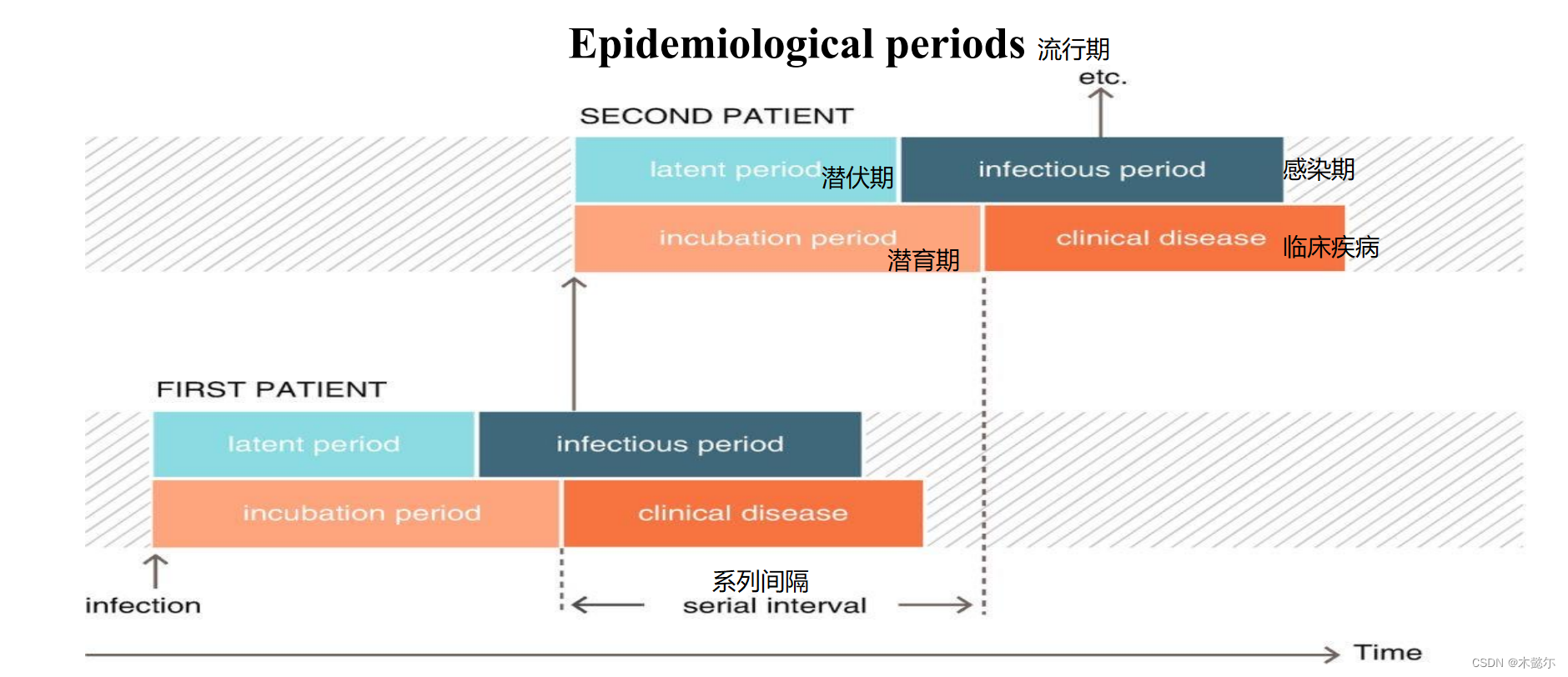 传染病模型2_generation time 传染病学-CSDN博客