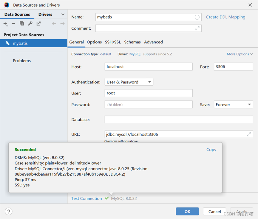 Mybatis环境的搭建（idea中）_2023.2.2idea创建mybatis环境-CSDN博客