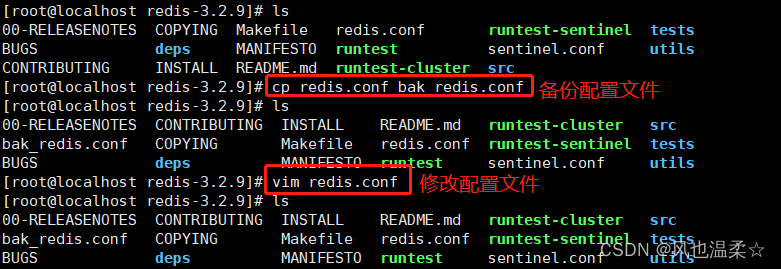 Redis安装以及RESP连接Redis服务器_resp 连接-CSDN博客