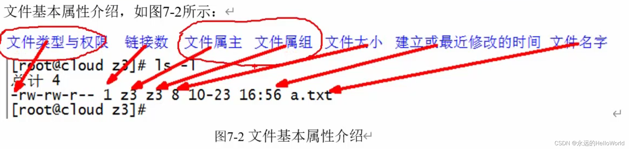 Linux中文件的权限类型linux中文件权限类型有 Csdn博客